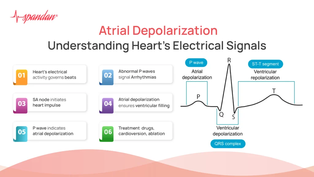 What is Atrial Depolarization?